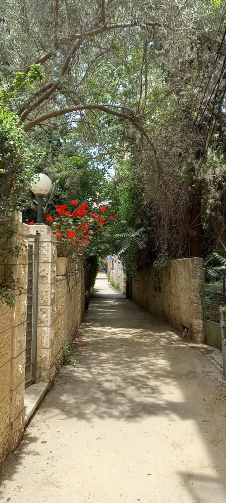 Jerusalem Love Song - 5 Towns Jewish Times